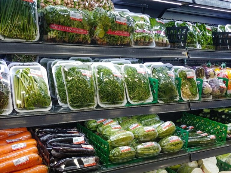 Cameron Highland Vegetable Supplier | Chocobo | Malaysia