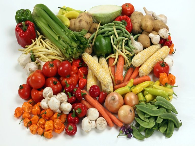 Cameron Highland Vegetable Supplier | Chocobo | Malaysia